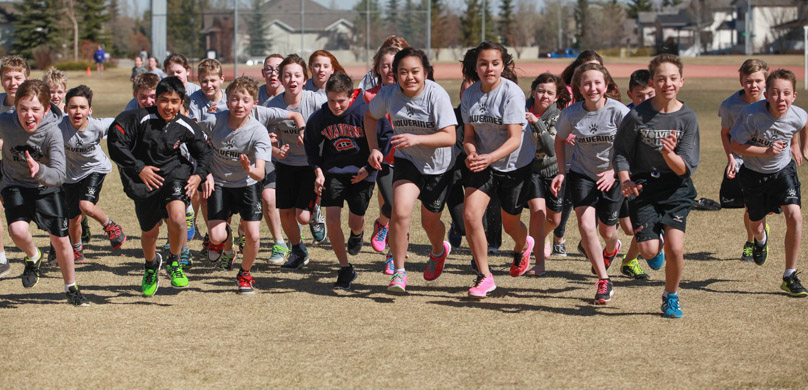 Physical Education & Wellness - Rideau Park School